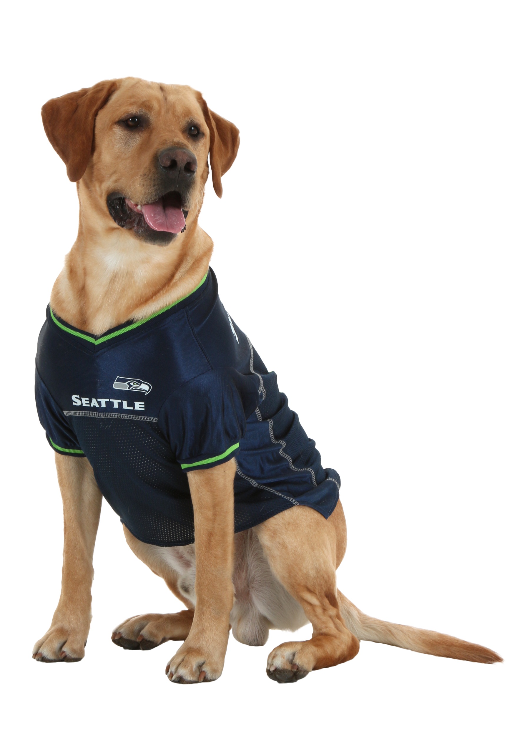 Seattle Seahawks Dog Mesh Jersey - Halloween Costume Ideas 2024