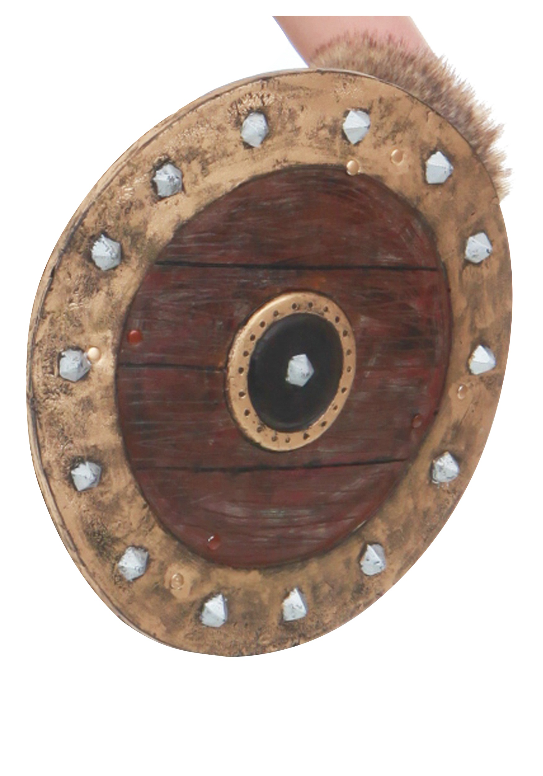 Viking Shield - Halloween Costume Ideas 2024